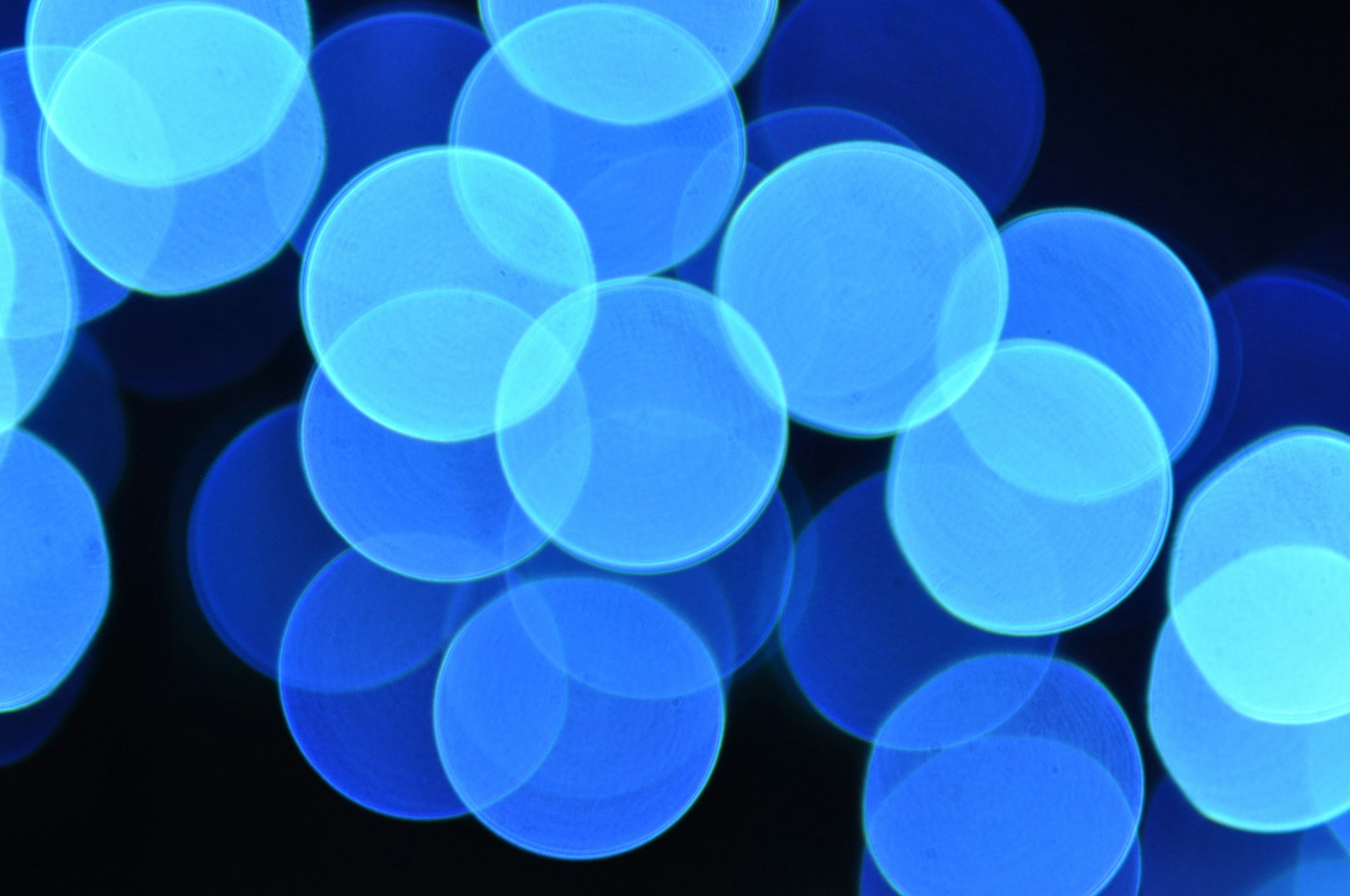 Optimizing Operational Efficiency: Workflow Automation Guide for Swiss ...